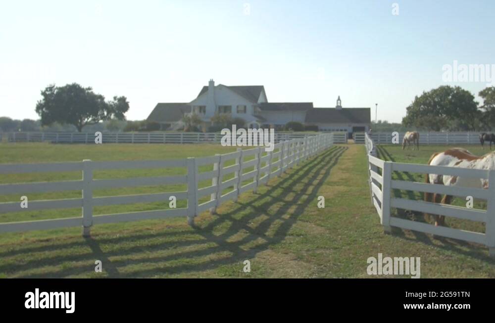 Horse corrals Stock Video Footage - Alamy