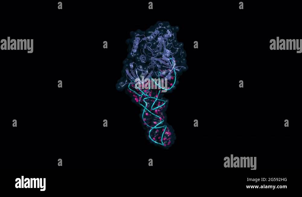 Elongation Stock Videos & Footage - HD and 4K Video Clips - Alamy