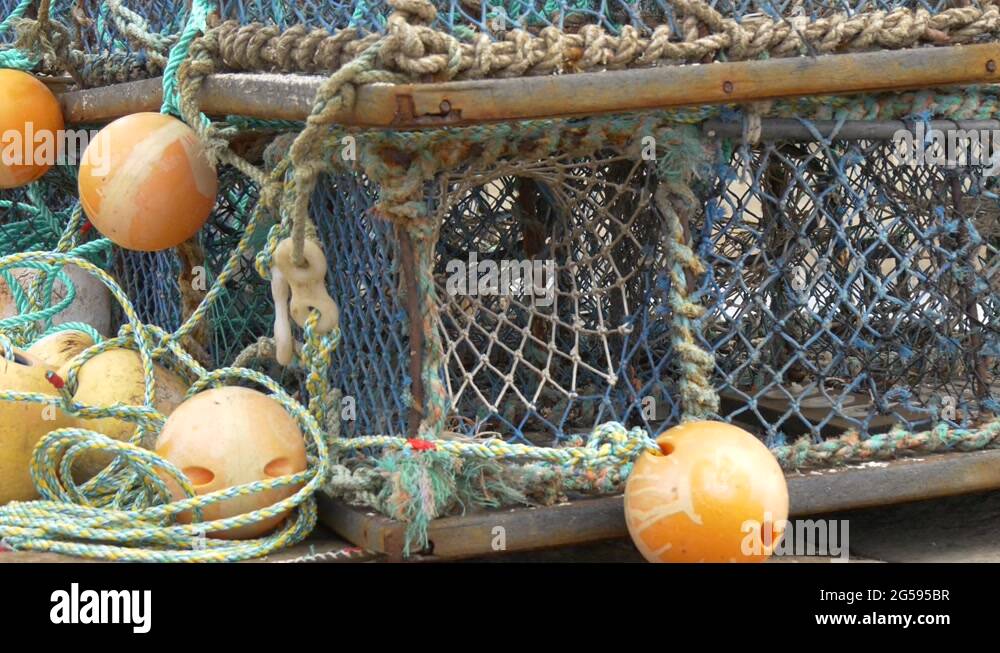 A cage and a net Stock Videos & Footage - HD and 4K Video Clips - Alamy