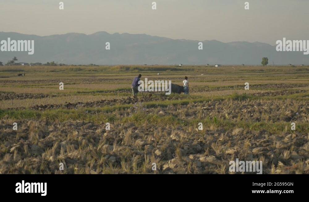 Agriculture inle lake Stock Videos & Footage - HD and 4K Video Clips ...
