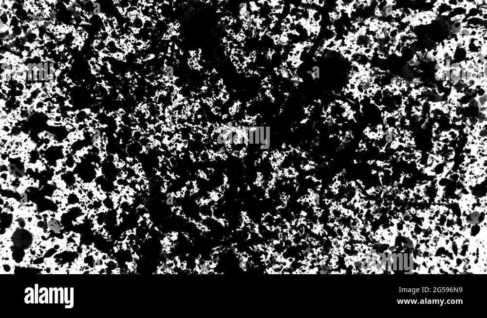 Ink transition effect Stock Videos & Footage - HD and 4K Video Clips ...