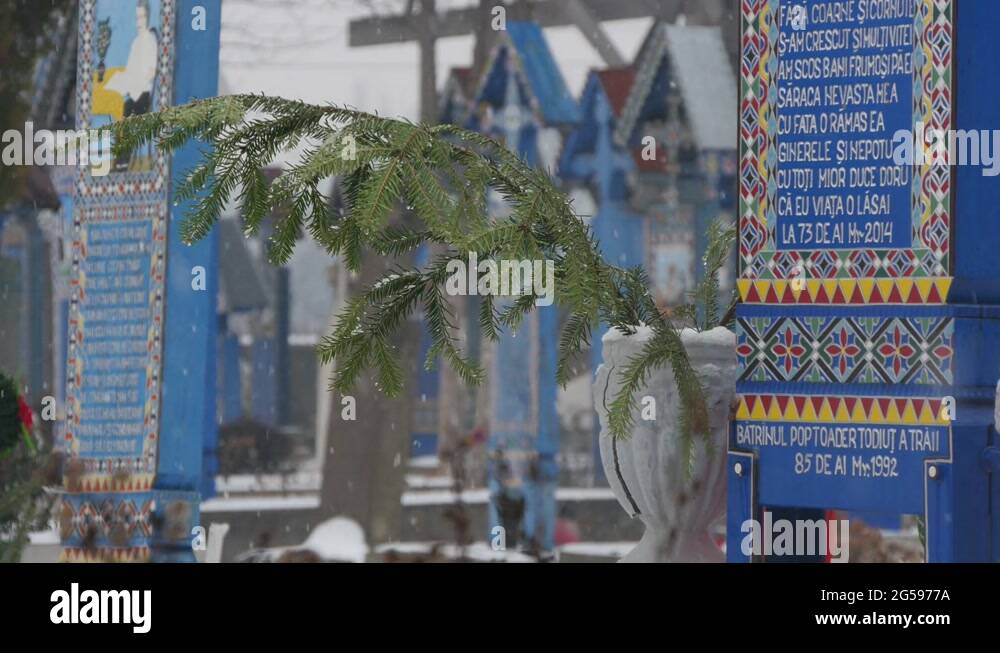 Tombstones cemetery branch Stock Videos & Footage - HD and 4K Video ...