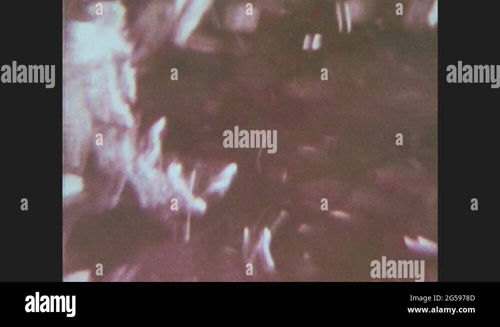 Effluent bacteria Stock Videos & Footage - HD and 4K Video Clips - Alamy