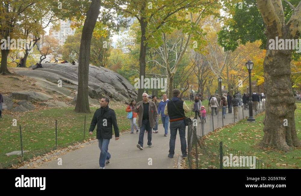 Taking walk in park Stock Videos & Footage - HD and 4K Video Clips - Alamy