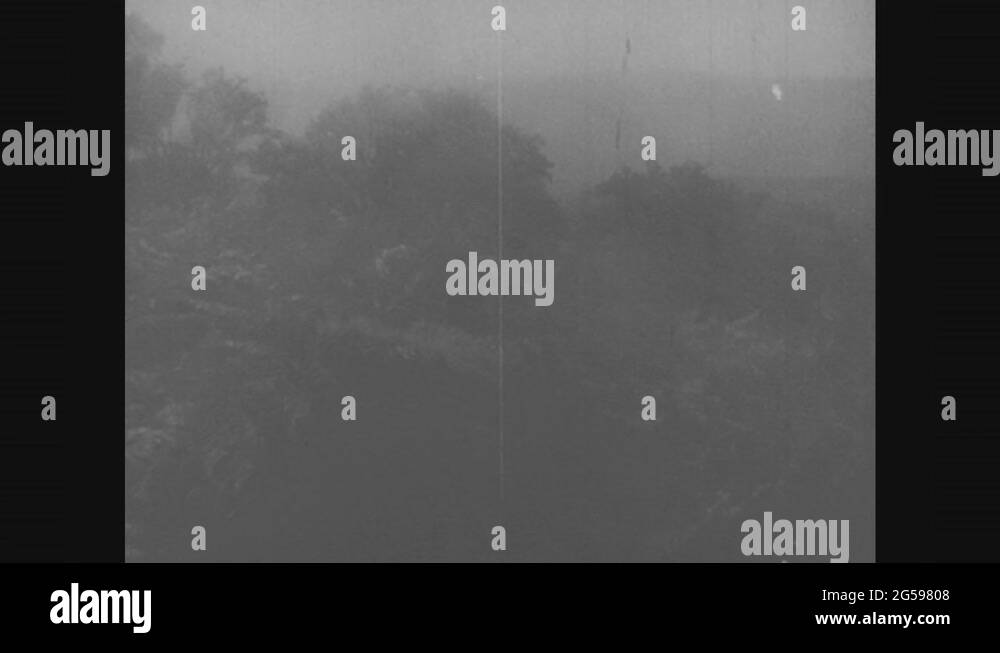 1950S: LIGHTNING BOLT. WIND AND RAIN BATTER TREES. LIGHTNING BOLT ...