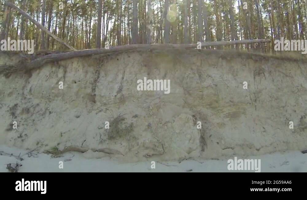 Lateral roots Stock Videos & Footage - HD and 4K Video Clips - Alamy