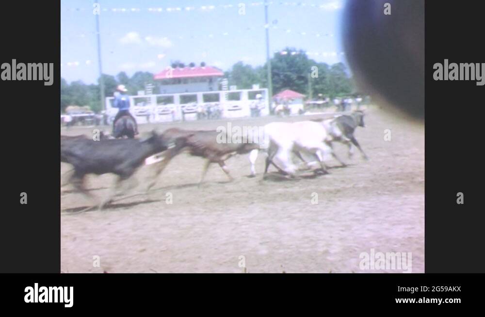 Cowboys roping and riding Stock Videos & Footage - HD and 4K Video ...