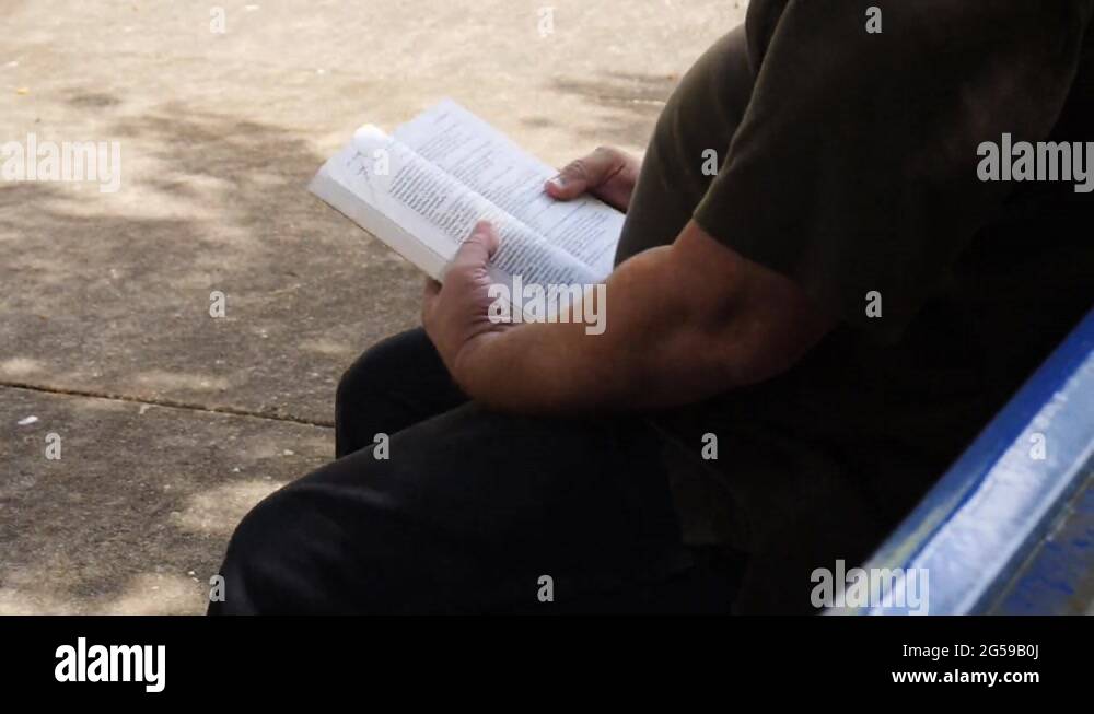 Elderly mature fat man reading book on park bench 1 Stock Video Footage ...