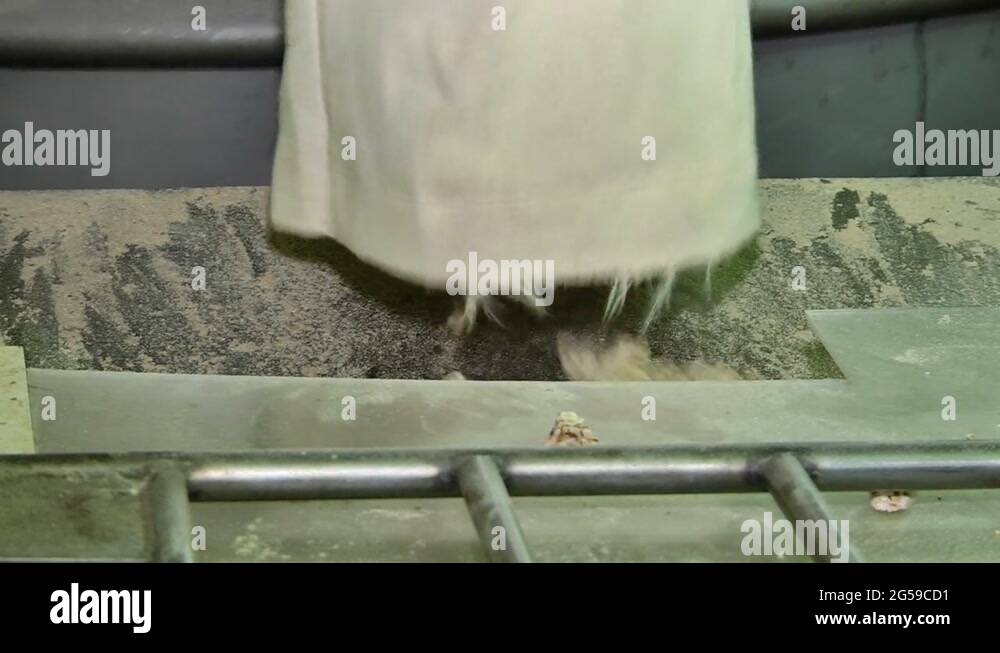 Bread line soviet Stock Videos & Footage - HD and 4K Video Clips - Alamy