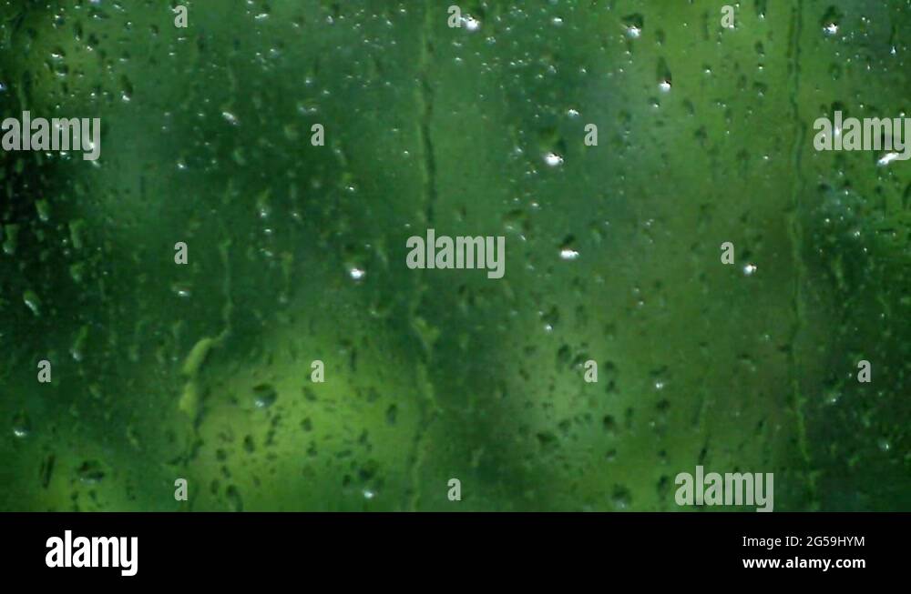 Rain and drizzle weather Stock Videos & Footage - HD and 4K Video Clips ...