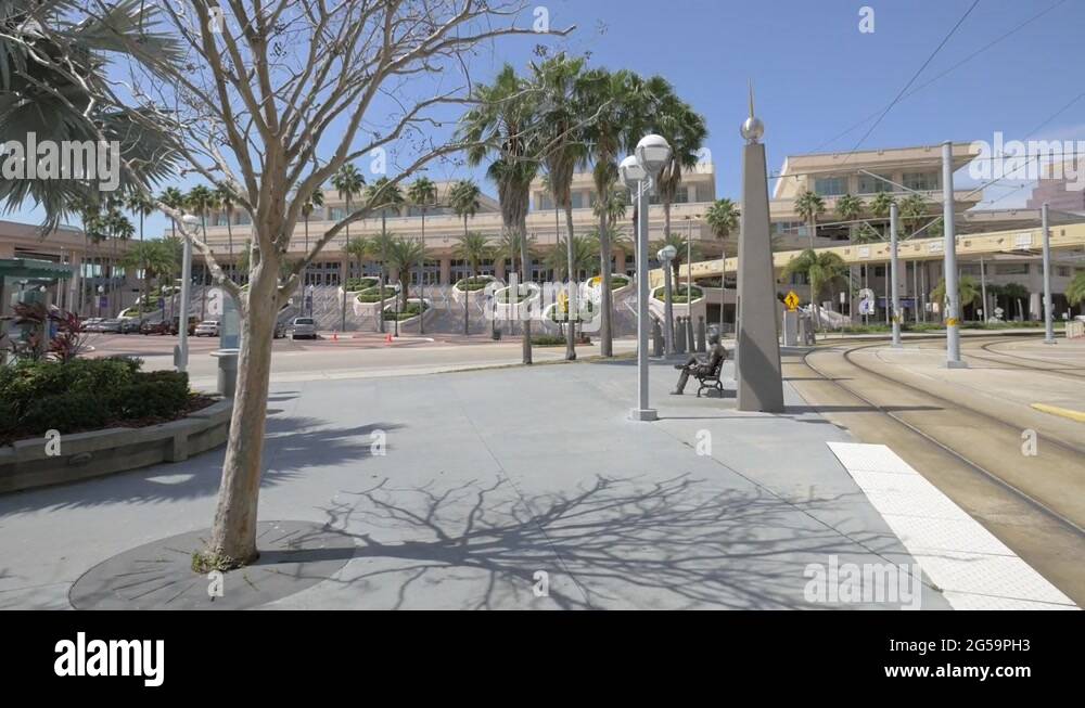 Palm trees square Stock Videos & Footage - HD and 4K Video Clips - Alamy