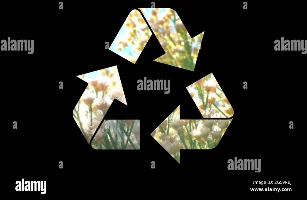 Recycle flowers Stock Videos & Footage - HD and 4K Video Clips - Alamy