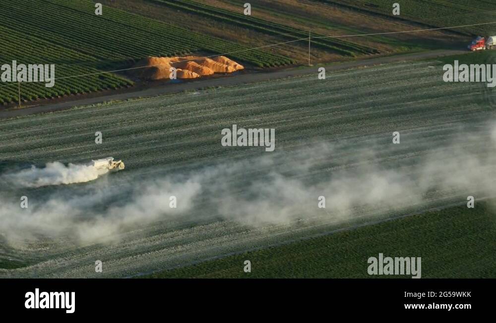 Applying lime Stock Videos & Footage - HD and 4K Video Clips - Alamy