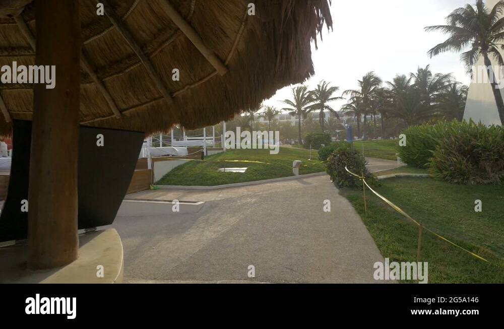 Sunny oasis Stock Videos & Footage - HD and 4K Video Clips - Alamy