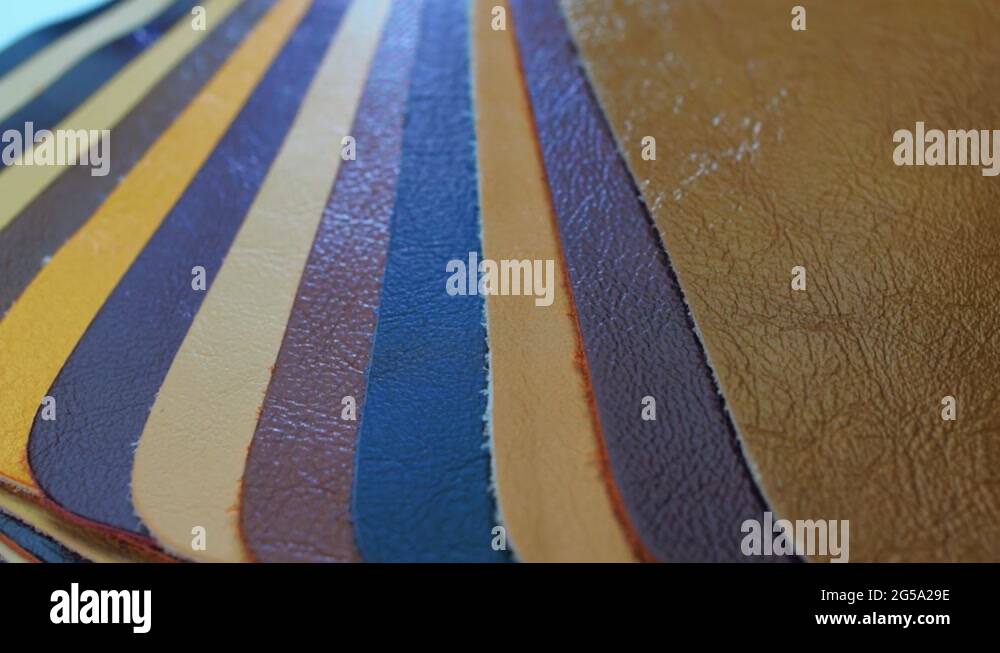 Structure, texture and surface pattern of rotation samples of skin ...