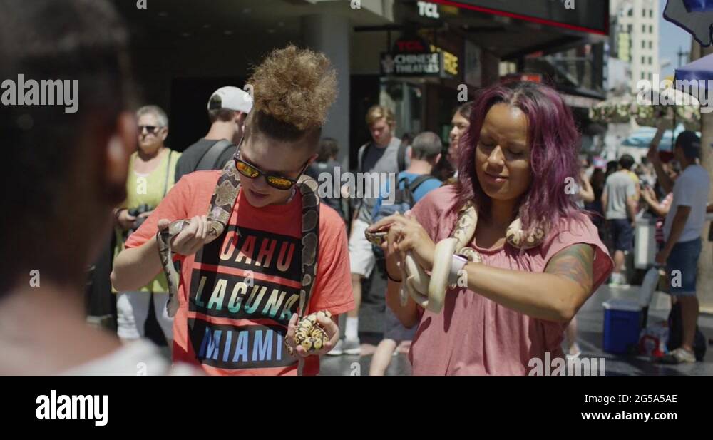 Holding snakes Stock Videos & Footage - HD and 4K Video Clips - Alamy