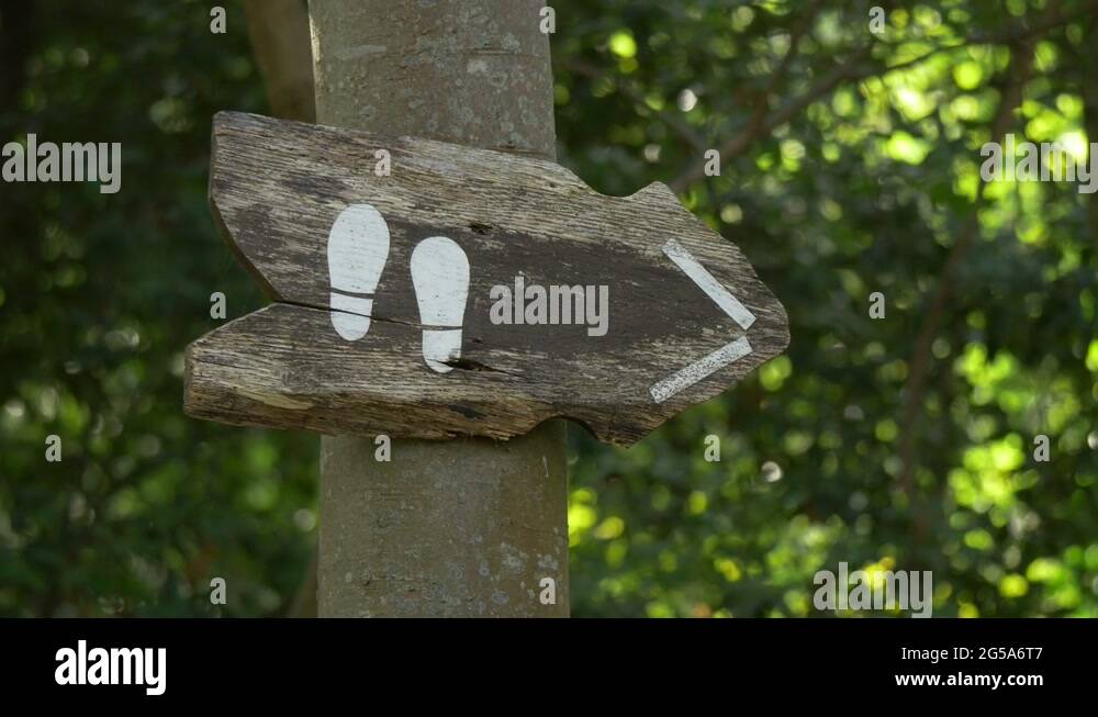 Sign indicating the path Stock Videos & Footage - HD and 4K Video Clips ...