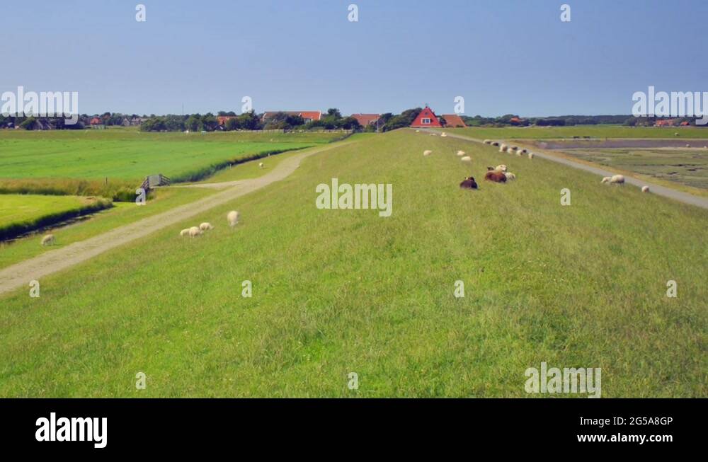 Levee erosion Stock Videos & Footage - HD and 4K Video Clips - Alamy