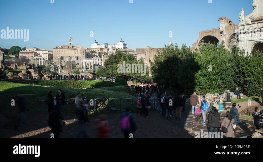 Forensic architecture Stock Videos & Footage - HD and 4K Video Clips ...