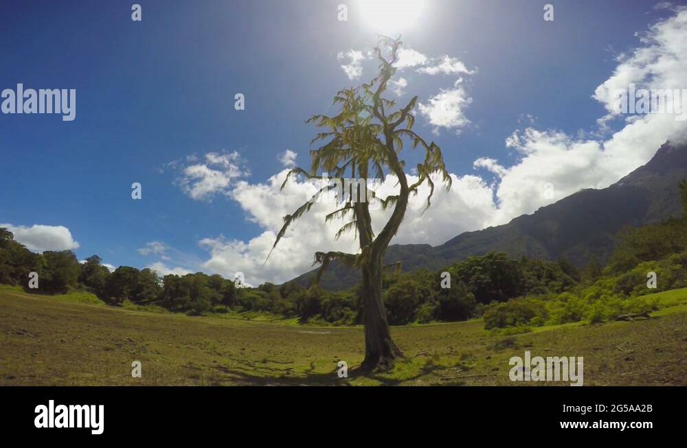 Mount meru Stock Videos & Footage - HD and 4K Video Clips - Alamy