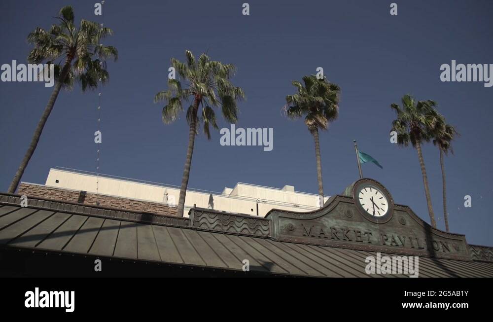 Palm market Stock Videos & Footage - HD and 4K Video Clips - Alamy