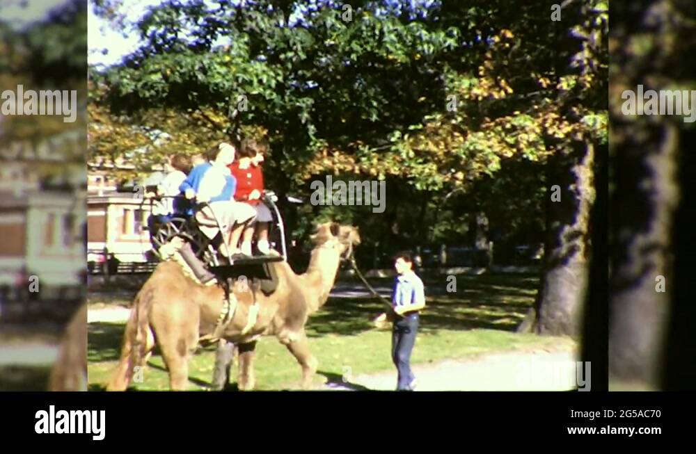 Children petting camel Stock Videos & Footage - HD and 4K Video Clips ...