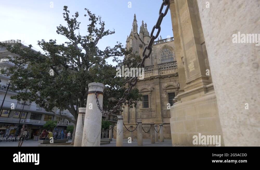 Cathedral tree Stock Videos & Footage - HD and 4K Video Clips - Alamy
