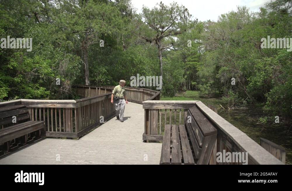 Man walking on the walkway Stock Videos & Footage - HD and 4K Video ...