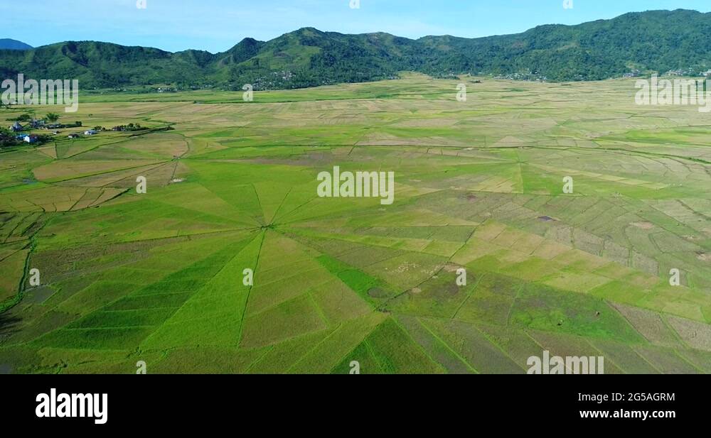 Spider field Stock Videos & Footage - HD and 4K Video Clips - Alamy