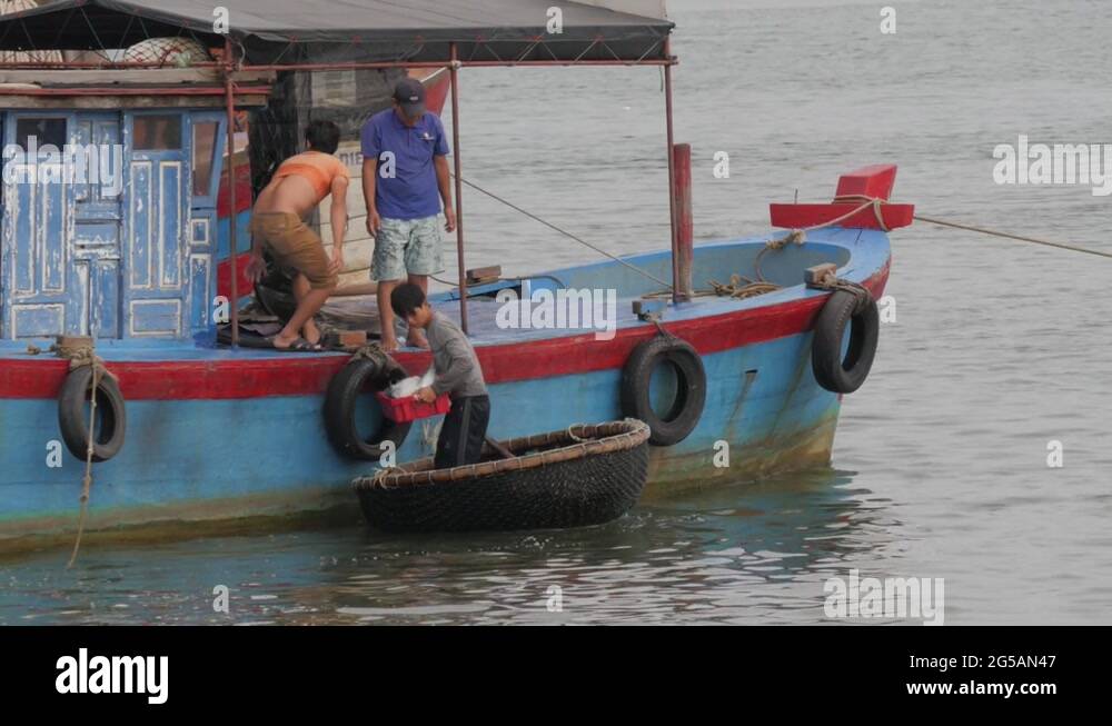 Transporting fish Stock Videos & Footage - HD and 4K Video Clips - Alamy