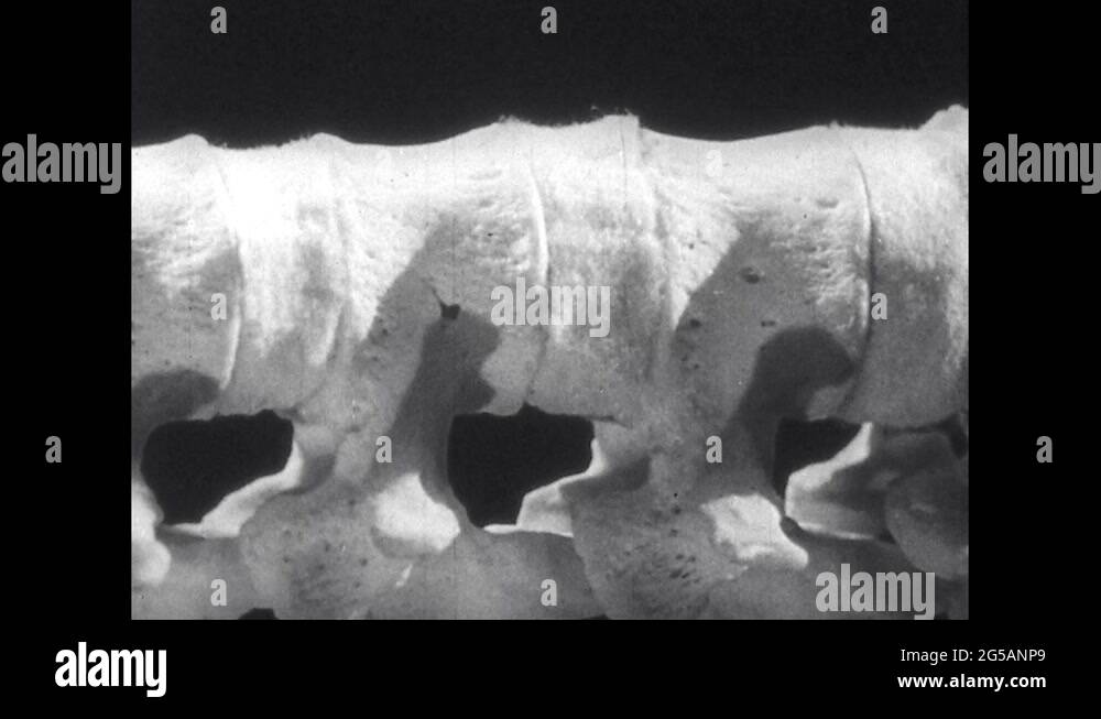 Wedge shape Stock Videos & Footage - HD and 4K Video Clips - Alamy