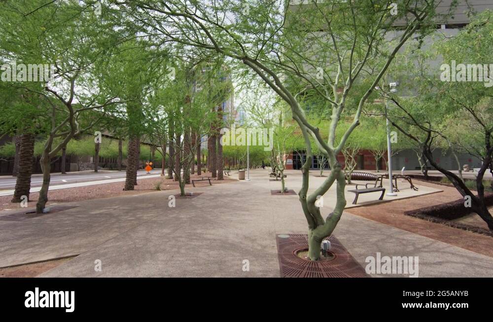 Green trees square Stock Videos & Footage - HD and 4K Video Clips - Alamy