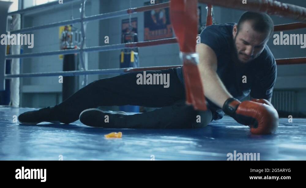 Beaten boxer Stock Videos & Footage - HD and 4K Video Clips - Alamy