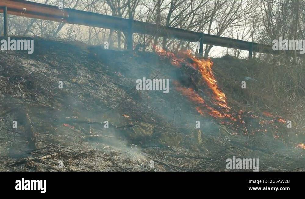 Fire weather Stock Videos & Footage - HD and 4K Video Clips - Alamy