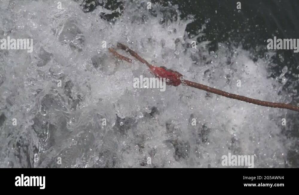 Water knot Stock Videos & Footage - HD and 4K Video Clips - Alamy