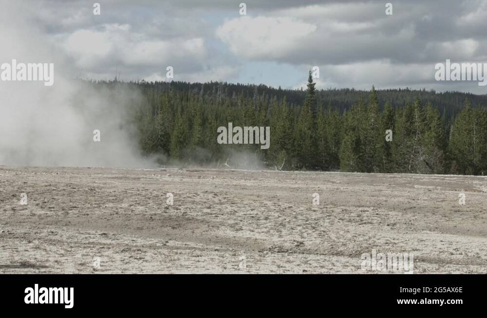 Yellowstone steam forest Stock Videos & Footage - HD and 4K Video Clips ...
