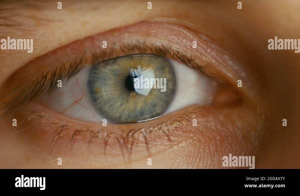 Close-up of a Blinking Man's Eyes. It's Grey with Brown Dots. Dilating ...