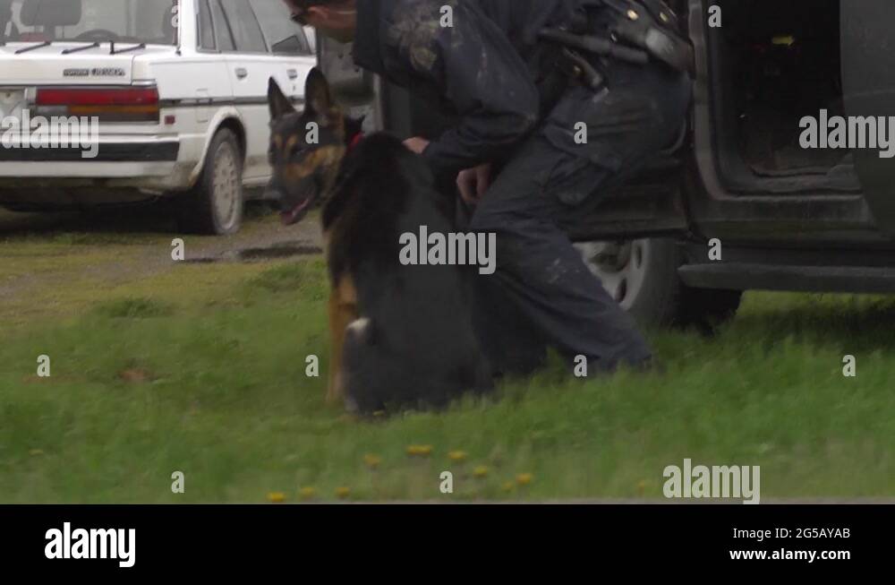 Evidence and arrest unit Stock Videos & Footage - HD and 4K Video Clips ...