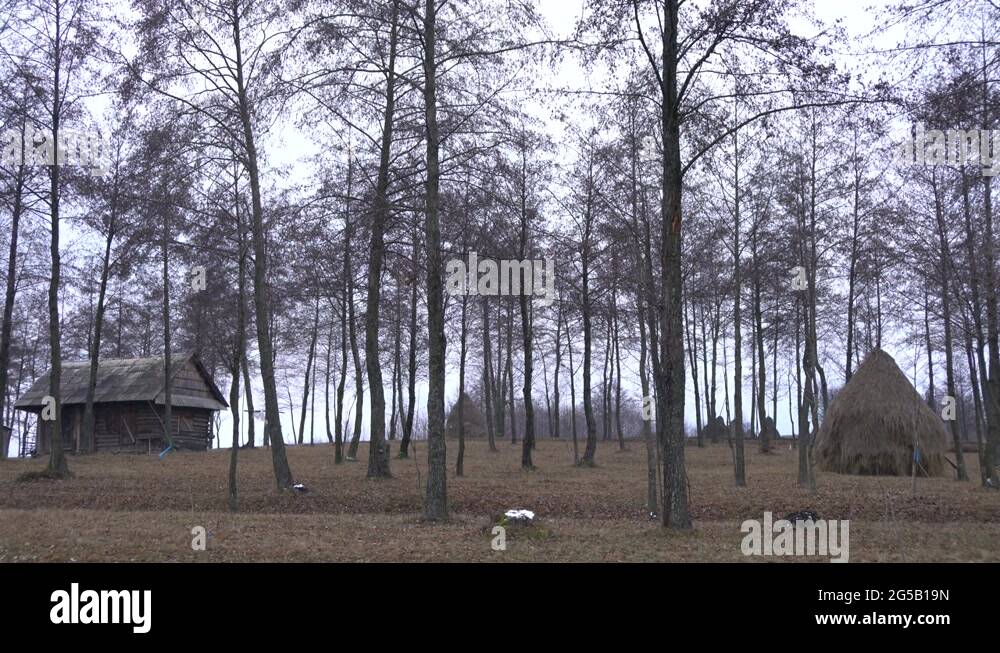 Chalet in the forest Stock Videos & Footage - HD and 4K Video Clips - Alamy