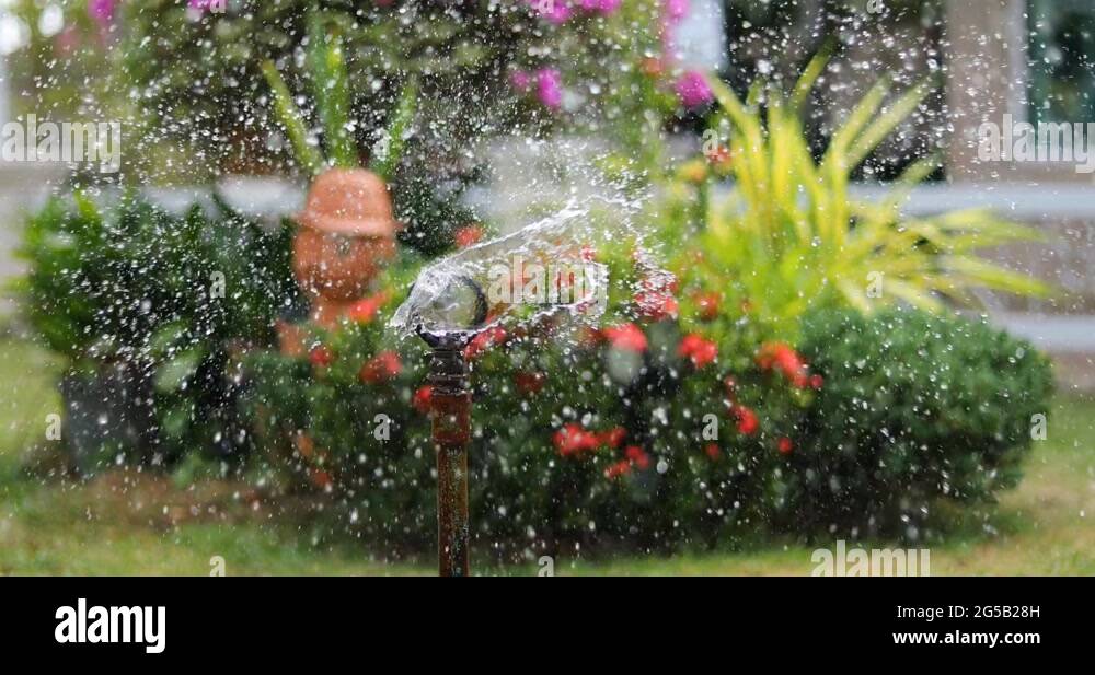 sprinkler splashing water in garden Stock Video Footage - Alamy