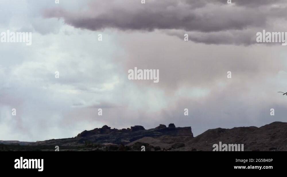 Dead Tree in Badlands Wasteland Wilderness of Wild West Panning Wide ...