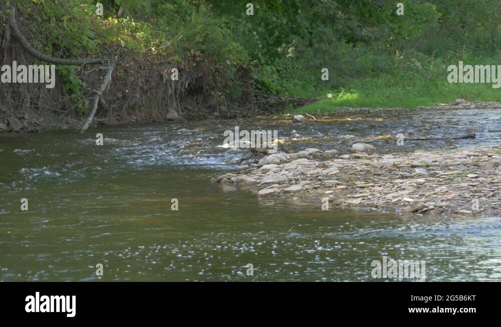 Pebbles and water Stock Videos & Footage - HD and 4K Video Clips - Alamy