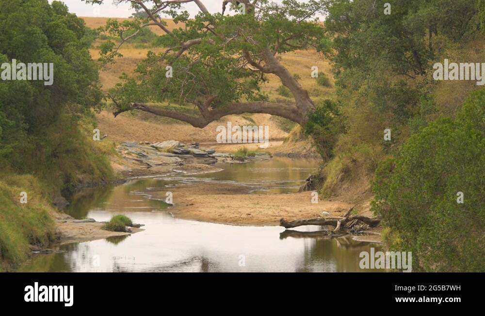 Maasai river Stock Videos & Footage - HD and 4K Video Clips - Alamy