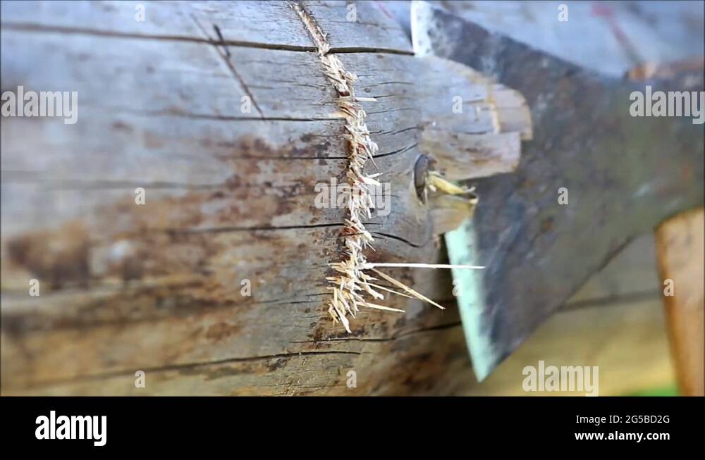 Linen lining Stock Videos & Footage - HD and 4K Video Clips - Alamy