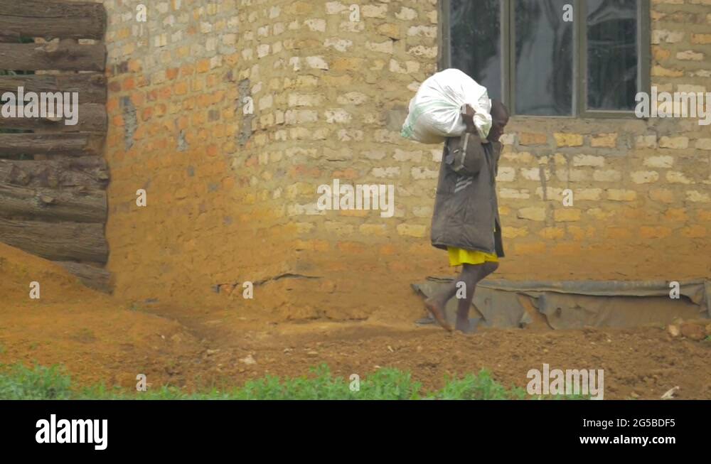 White sack Stock Videos & Footage - HD and 4K Video Clips - Alamy