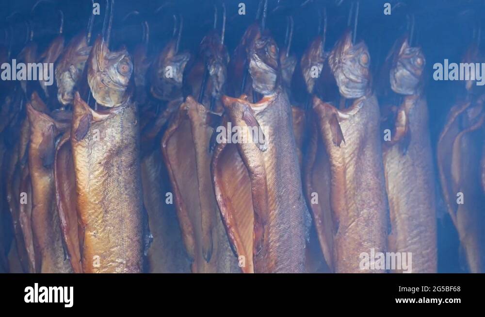 Smoked fish dish Stock Videos & Footage - HD and 4K Video Clips - Alamy