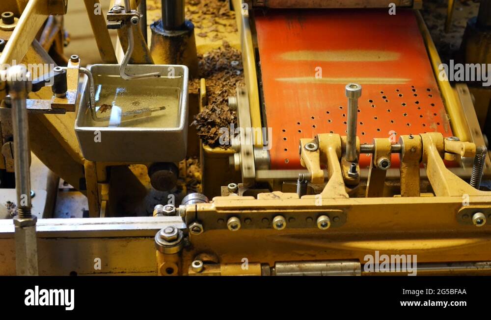 Cigar rolling machine inside a cigar factory producing homemade cigars ...