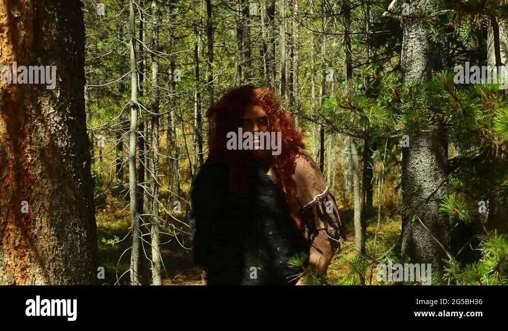 Pre historic cave man Stock Videos & Footage - HD and 4K Video Clips ...