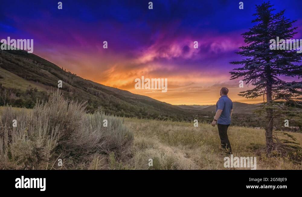 Motionles Stock Videos & Footage - HD and 4K Video Clips - Alamy