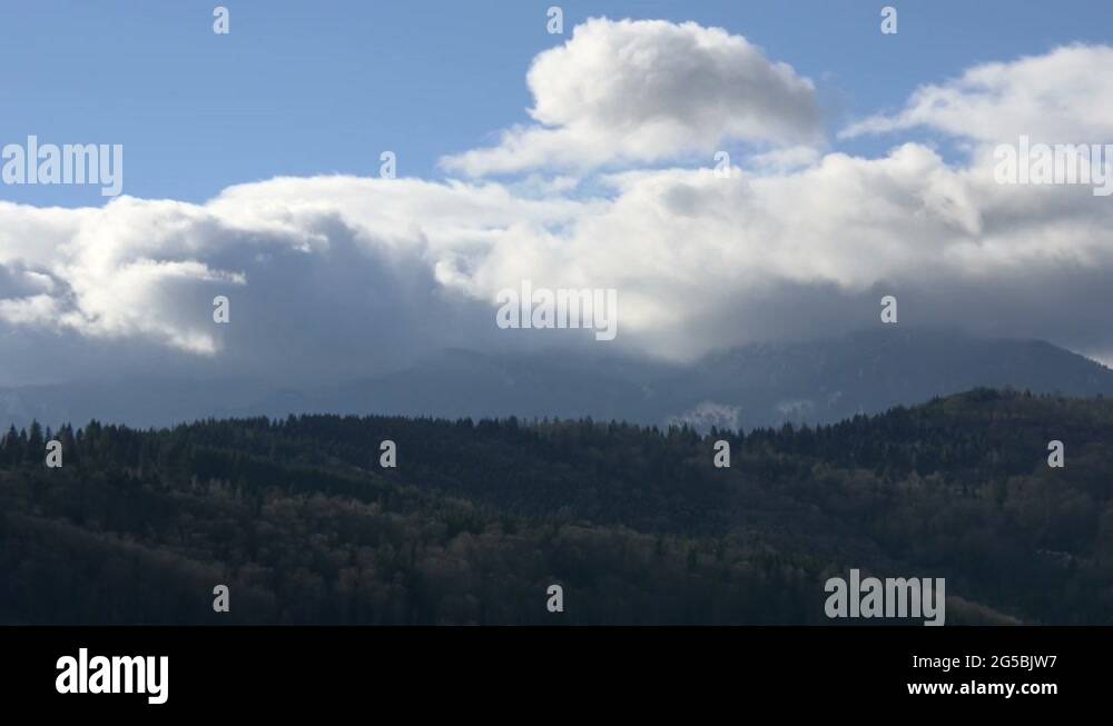 Sky over forest Stock Videos & Footage - HD and 4K Video Clips - Alamy